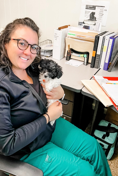 Receptionist - Vet in Chatham | Chatham Animal Clinic